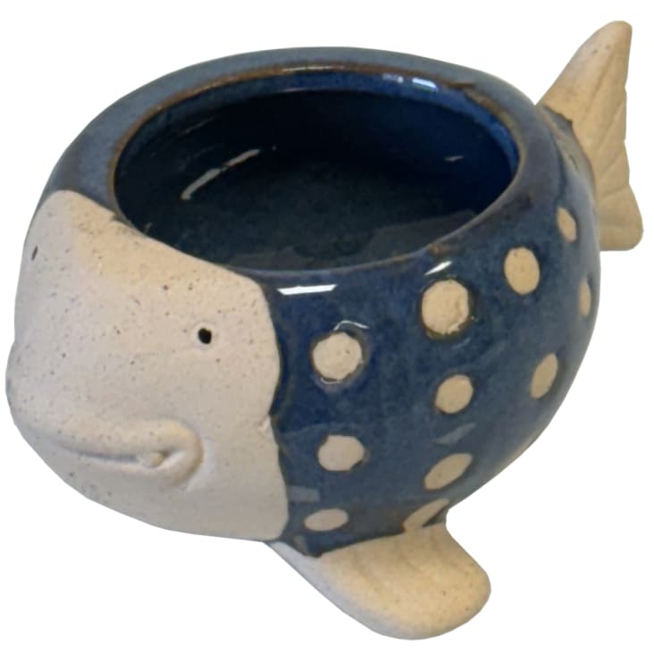 Mini cache-pot poisson bleu en céramique 5 cm | Maisons du Monde