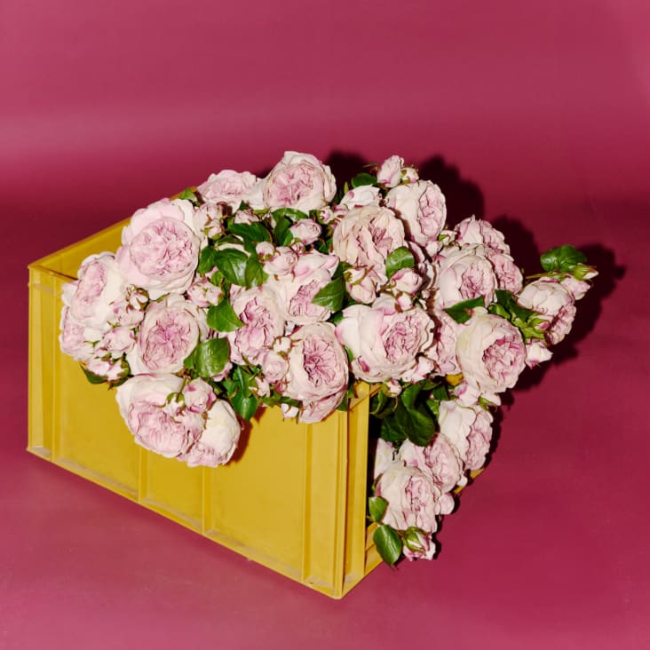 Stelo di rosa chiusa artificiale lampone H80 David | Maisons du Monde