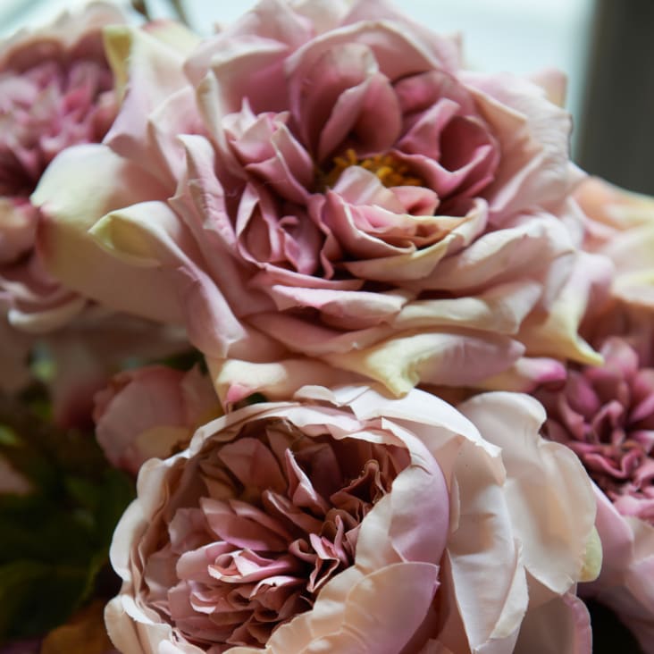 Tallo de rosa abierta artificial fucsia oscuro h80 David | Maisons du Monde