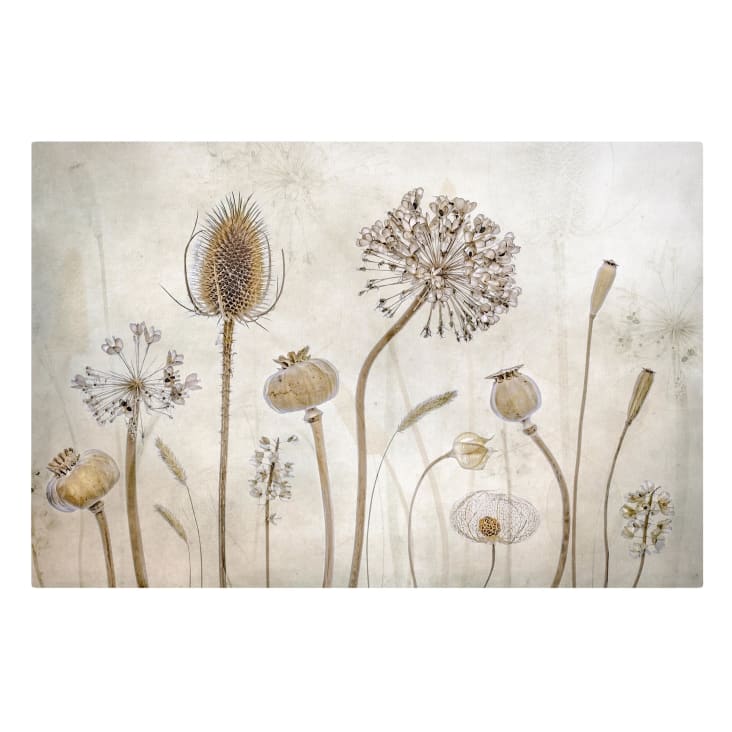 Leinwandbild bedruckt - Growing Old, beige 120 x 80 cm | Maisons du Monde