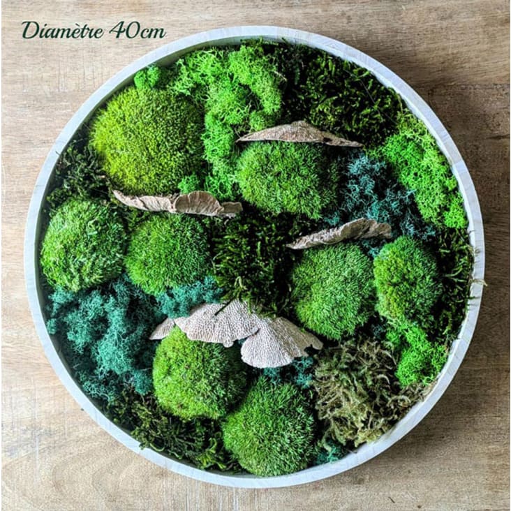 Tableau végétal naturel rond mousse stabilisée - Lot de 2- Sous-bois ...