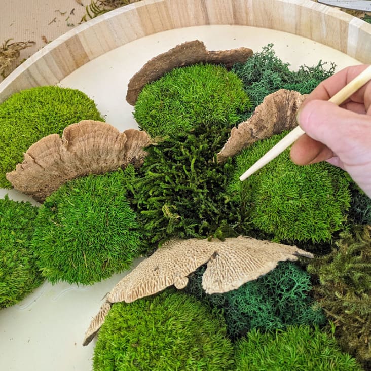 Tableau végétal naturel rond mousse stabilisée - Lot de 2- Sous-bois ...