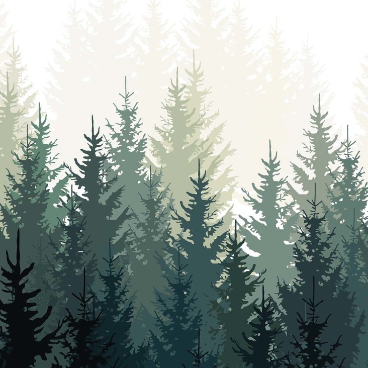 Papier peint forêt de mélèze 312x270 cm | Maisons du Monde