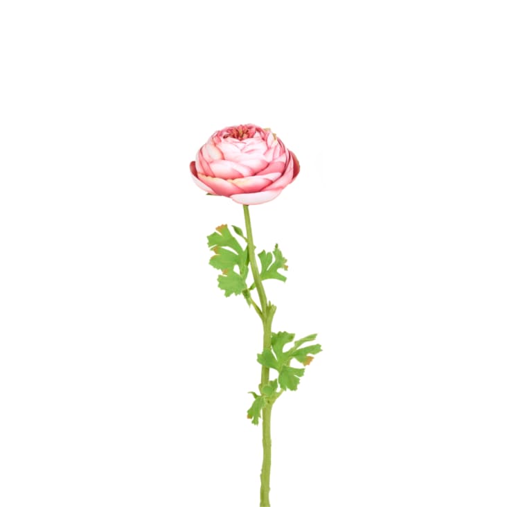 Tallo de ranúnculo cerrado artificial rosa h40 Nora | Maisons du Monde