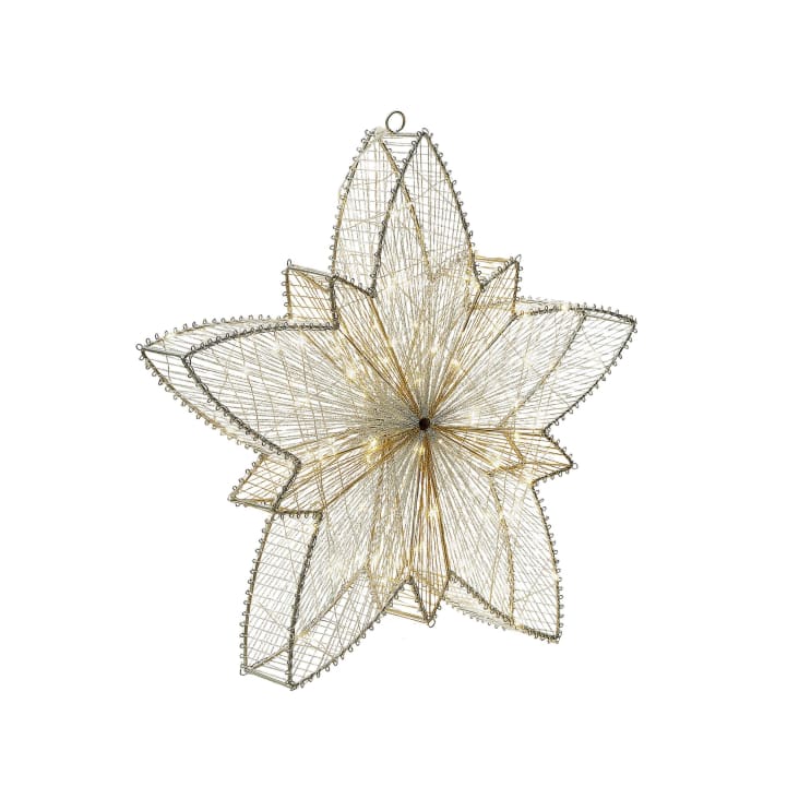 Stella decorativa da esterno con luce led argento 50 cm Hofsos ...