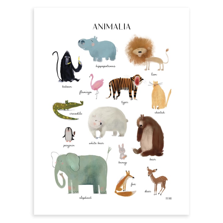 Kinderposter mit bedruckten Stieren, 30 × 40 cm, mehrfarbig Animalia ...