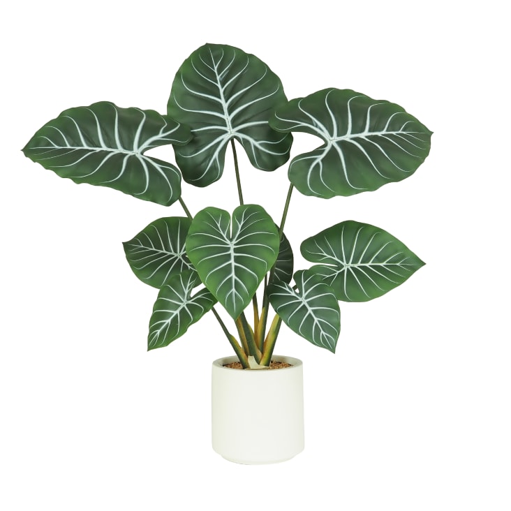 Plante taro artificiel 85cm | Maisons du Monde