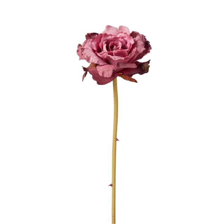 Tallo de rosa abierta artificial rosa h55 Leslie | Maisons du Monde