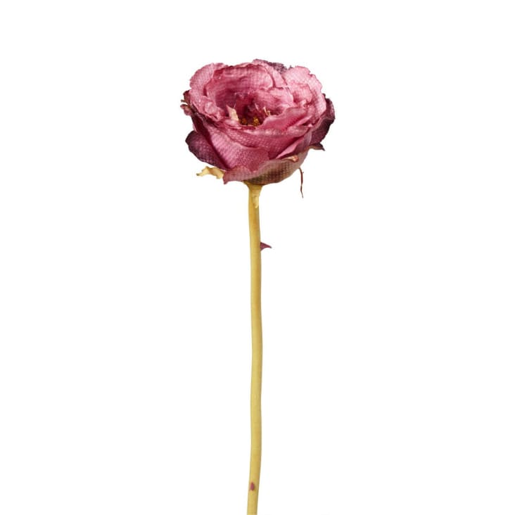Tallo de rosa cerrada artificial rosa h55 Leslie | Maisons du Monde