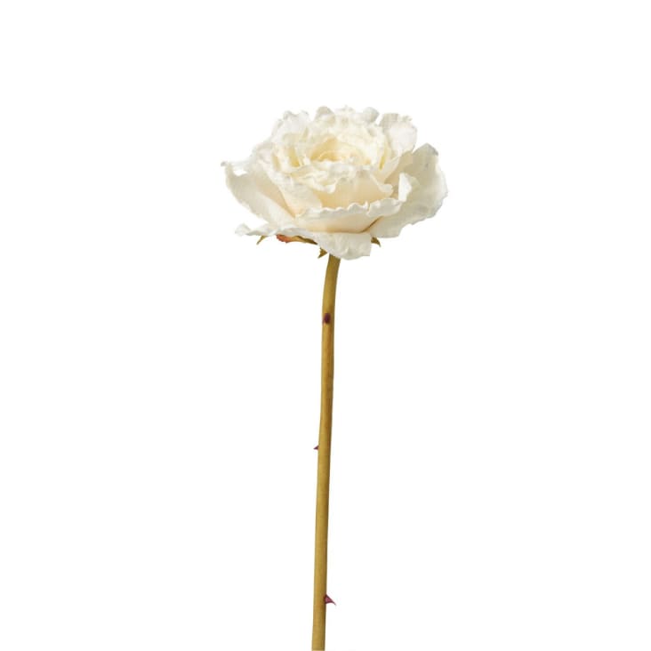 Tallo de rosa abierta artificial blanca h55 Leslie | Maisons du Monde