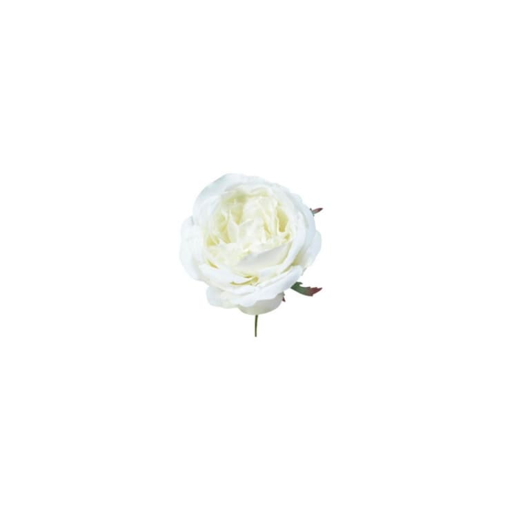 Tallo de rosa para clavar en espuma artificial crema h18 | Maisons du Monde