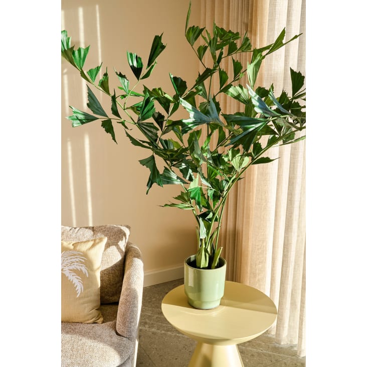 Palmier queue-de-poisson plante artificielle vert H150 Fishtail palm ...