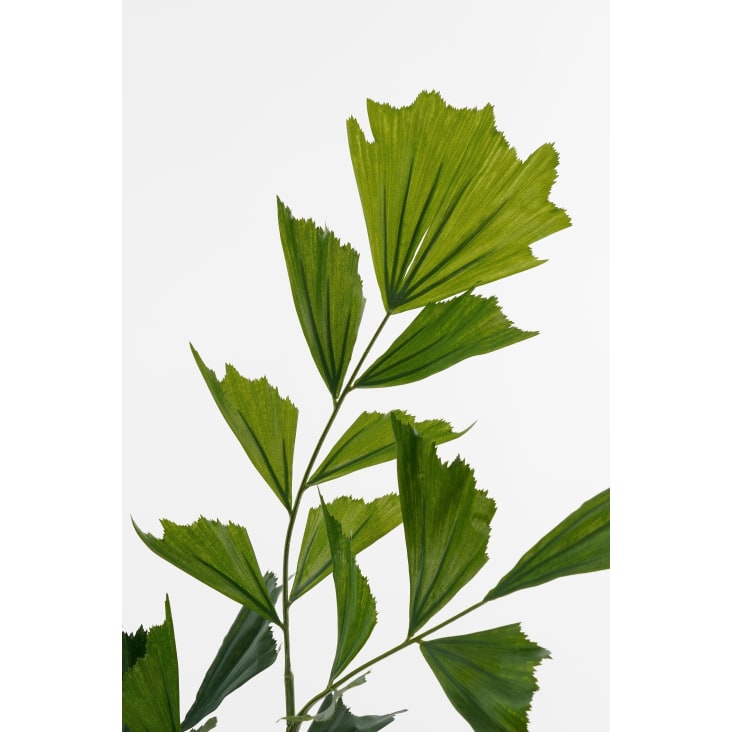 Palmier queue-de-poisson plante artificielle vert H150 Fishtail palm ...