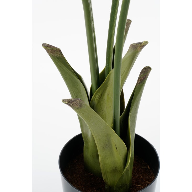 Palmier queue-de-poisson plante artificielle vert H150 Fishtail palm ...