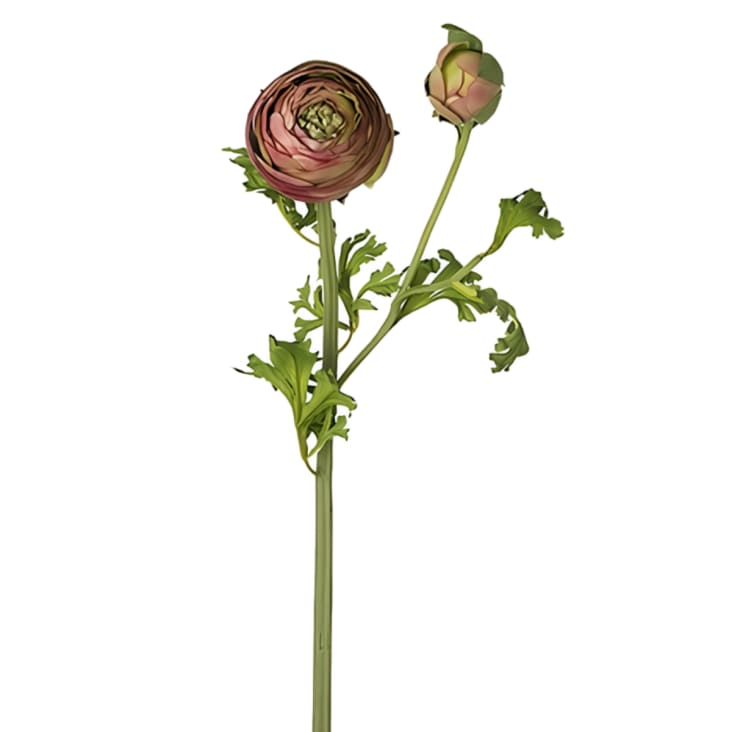 Tallo de ranúnculo artificial rosa oscuro y verde h56 | Maisons du Monde