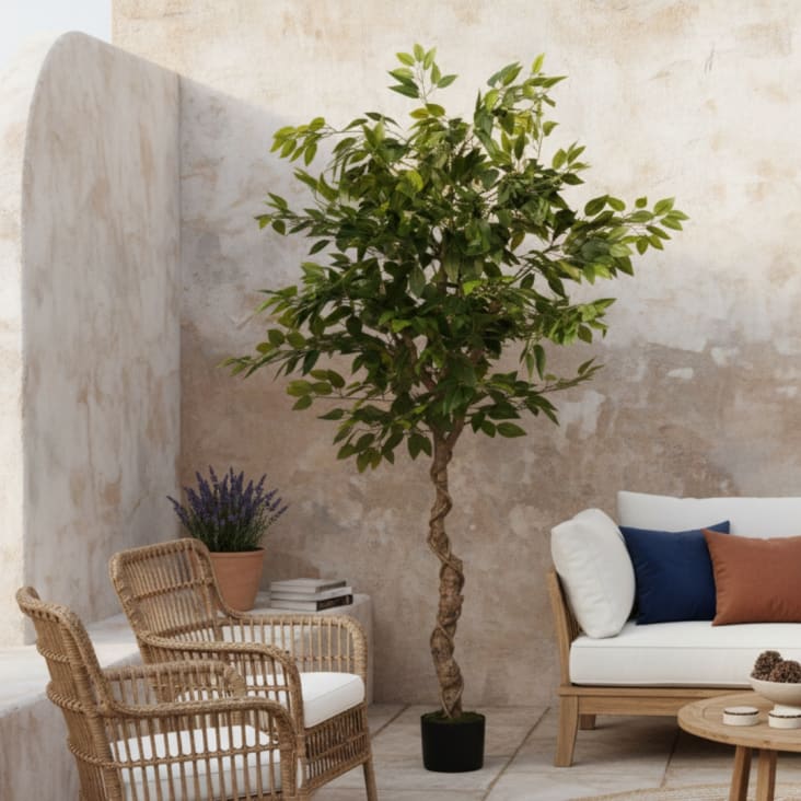 Planta artificial decorativa ficus de 180 cm en maceta Ficus | Maisons ...