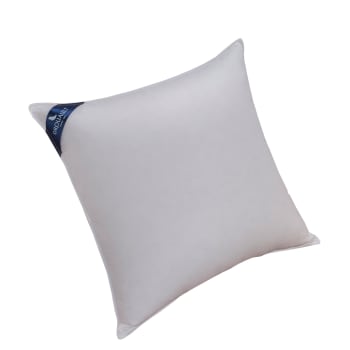 Oreiller moelleux en duvet et percale bio 50 x 70 cm Cleo | Maisons du ...