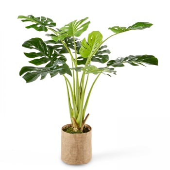 Plante artificielle palmier en polyéthylène et béton H190 Palm tree ...
