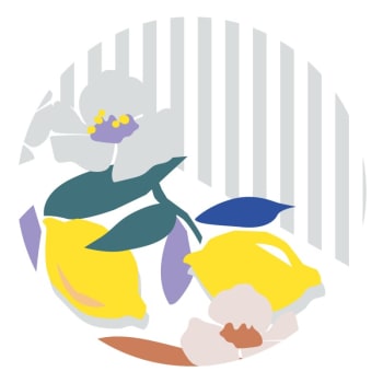 Sets de table coquillage en coton multicolore motifs imprimés (x4 ...