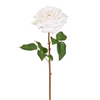 Tallo de rosa artificial blanca h65 Sophia | Maisons du Monde