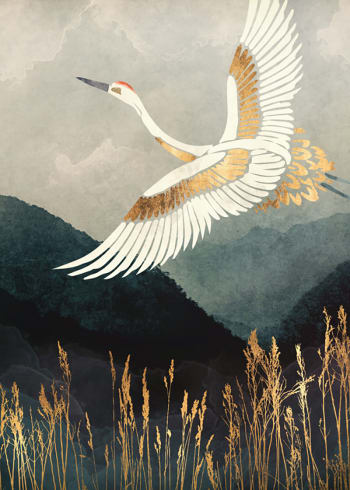 Lámina decorativa elegant flight 70x100cm SPACEFROG DESIGNS | Maisons ...