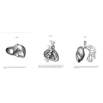 Lamina, impresión en papel, sin marcos, a4 Abrazo de pareja, linea ...