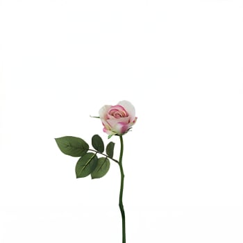 Tallo de rosa artificial rosa y amarillo h49 | Maisons du Monde