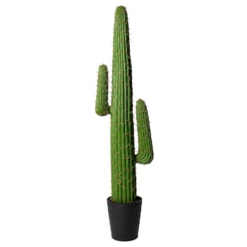 Cactus artificial verde en maceta h78 | Maisons du Monde