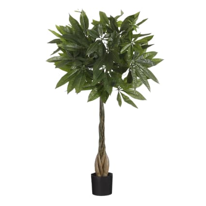 Plante artificielle Vert Polyester H80xl60xL60cm Pachira | Maisons du Monde