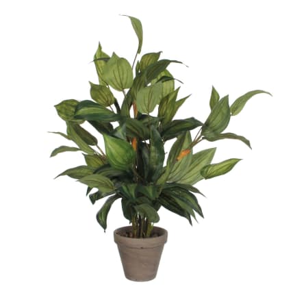 Plante artificielle Vert Polyester H65xl40xL40cm Hosta | Maisons du Monde