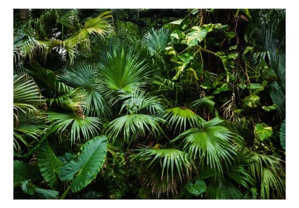 Papier peint paysages sunny jungle 350x245 cm | Maisons du Monde