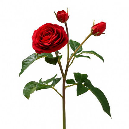 Tige de rose ouverte avec bourgeons artificielle rouge H55 Premium ...