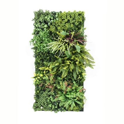 Flora - Quadro vegetale 100x50 cm foglie fiori PE cornice PVC nero ...