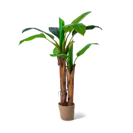 Banana Tree - Pianta Artificiale in vaso H150 cm | Maisons du Monde