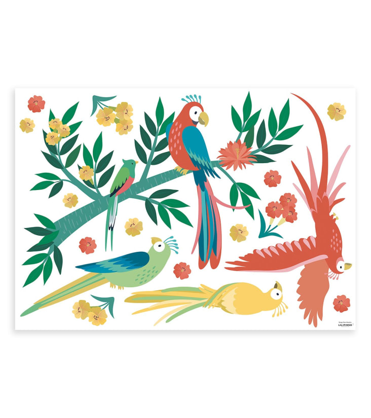 Pegatinas en vinilo de aves tropicales 64x90 cm RIO | Maisons du Monde