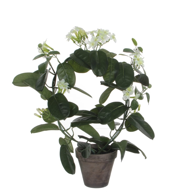 Stephanotis artificial blanco en maceta alt. 50 Stephanotis | Maisons ...