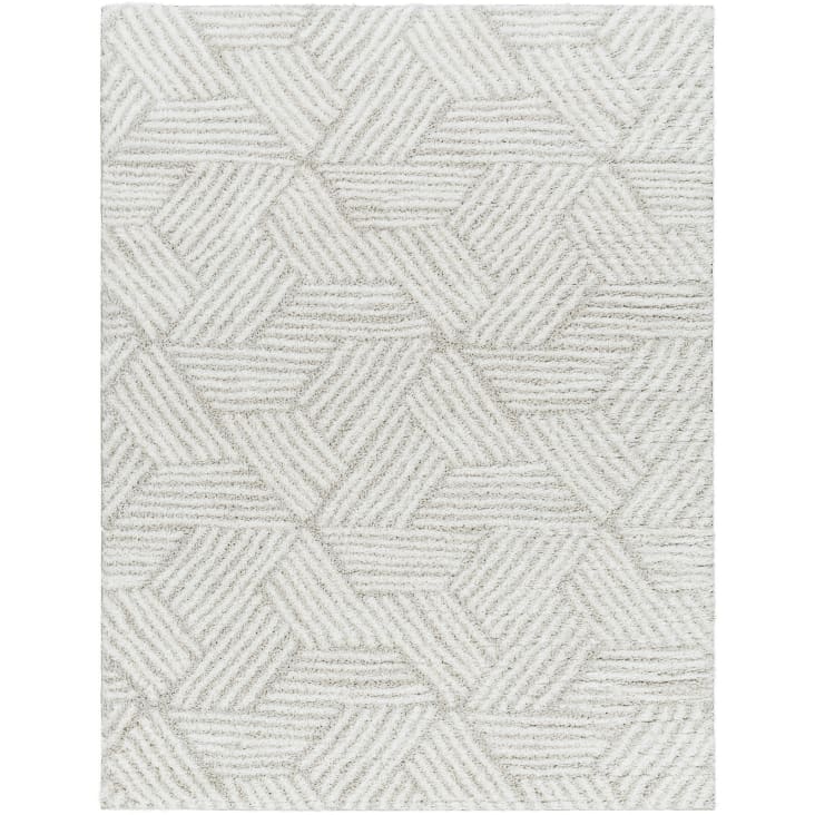 Moderner Hochfloriger Shaggy Teppich Elfenbein/Beige 160x213 Allie ...