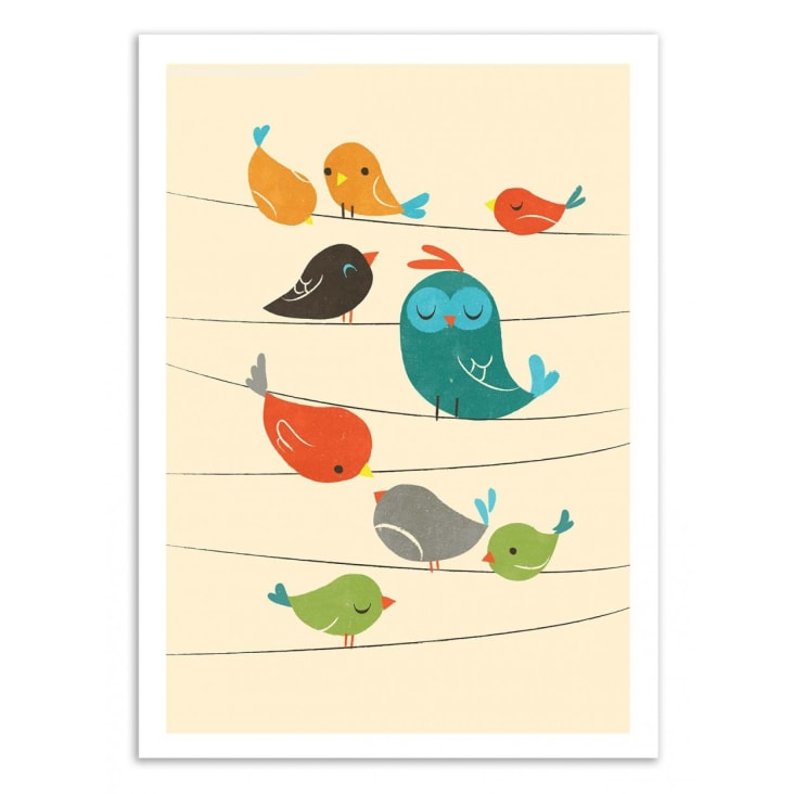 Affiche 50x70 cm - Colorfull birds - Jay Fleck | Maisons du Monde