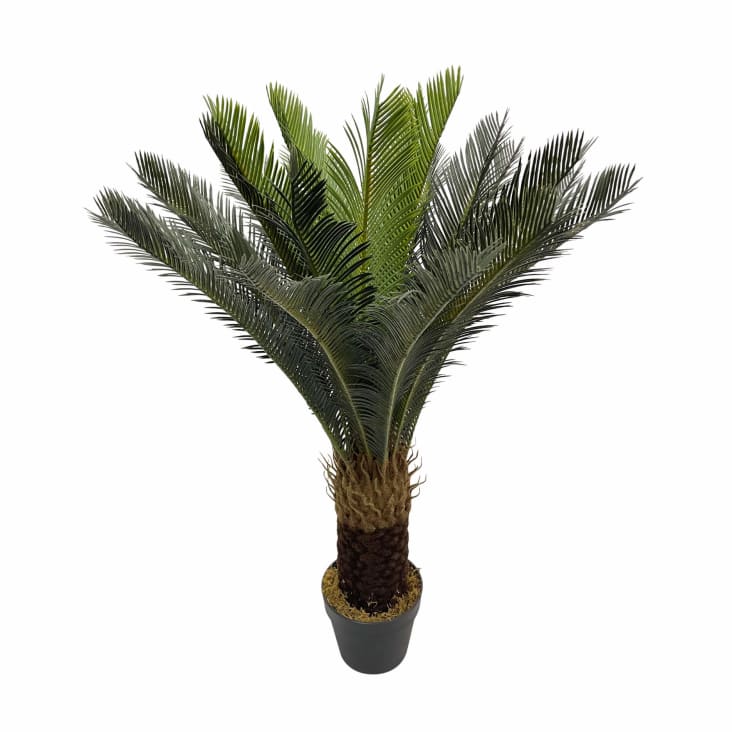 Pianta artificiale Cycas in vaso H 90 cm | Maisons du Monde