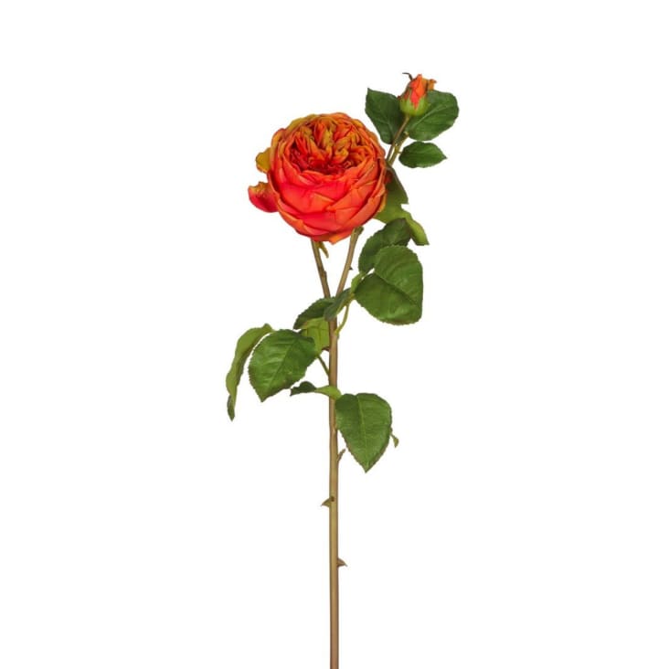 Stelo di rosa chiusa artificiale arancione H80 David | Maisons du Monde