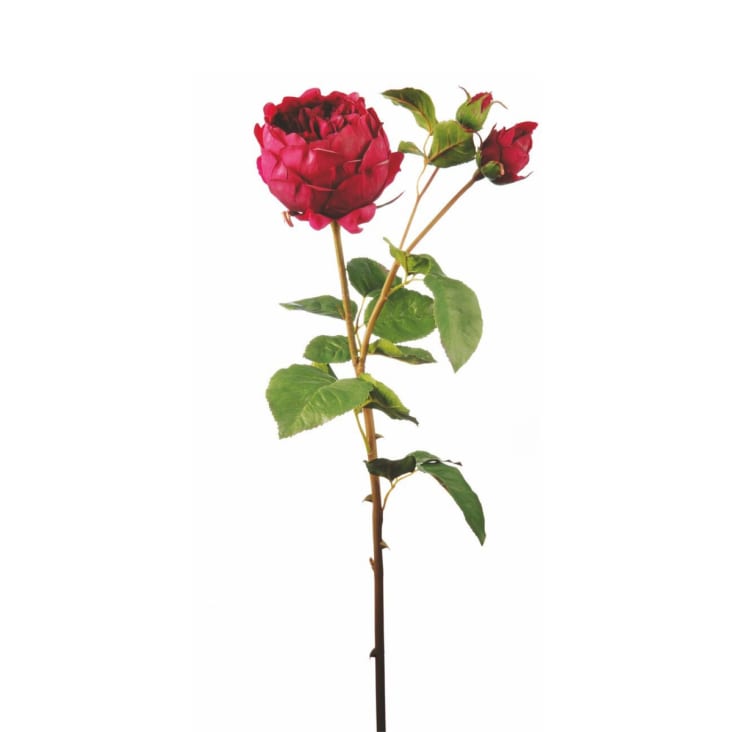 Stelo di rosa chiusa artificiale lampone H80 David | Maisons du Monde