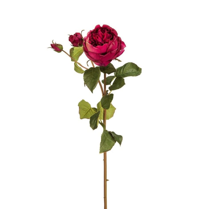 Stelo di rosa chiusa artificiale fucsia scuro H80 David | Maisons du Monde