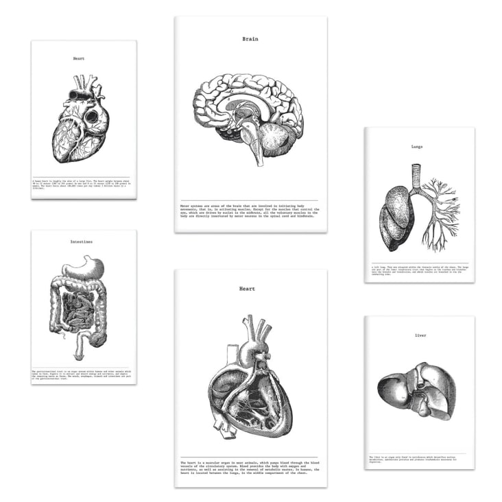 Set de 6 laminas, impresión en papel, sin marcos, a3 & a4 | Maisons du ...