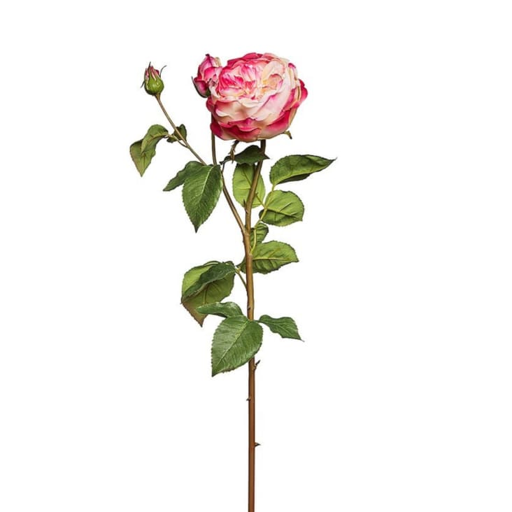 Stelo di rosa chiusa artificiale bianco e fucsia H80 David | Maisons du ...