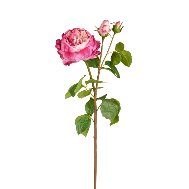 Stelo di rosa chiusa artificiale rosa e fucsia H80 David | Maisons du Monde