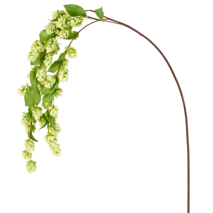 Tallo de lúpulo colgante artificial verde h129 | Maisons du Monde