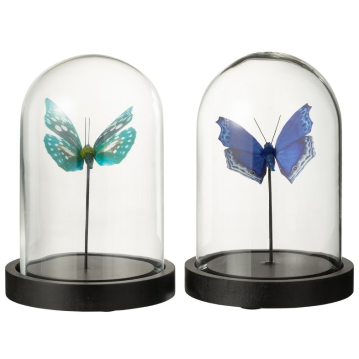 Set de 2 papillons sous cloche en verre transparent 11.5x11.5x16 cm ...